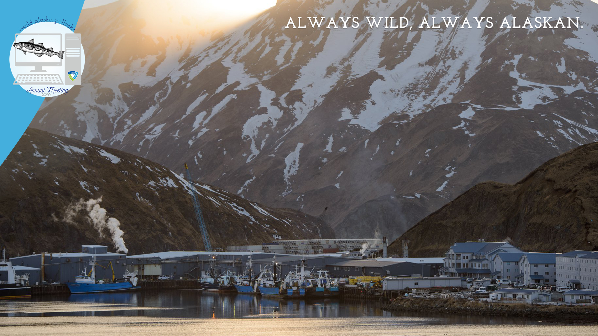 Wild Alaska Pollock Home | Genuine Alaska Pollock Producers | Genuine ...